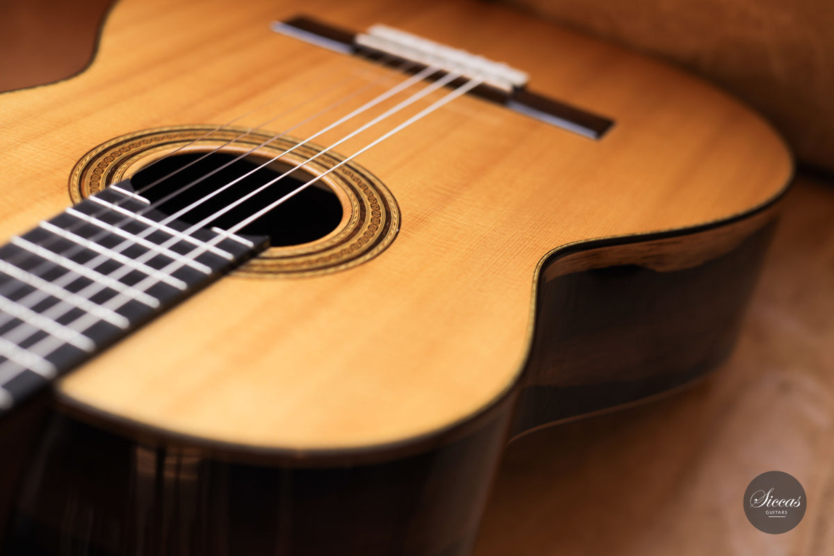 Lattice – Siccas Guitars