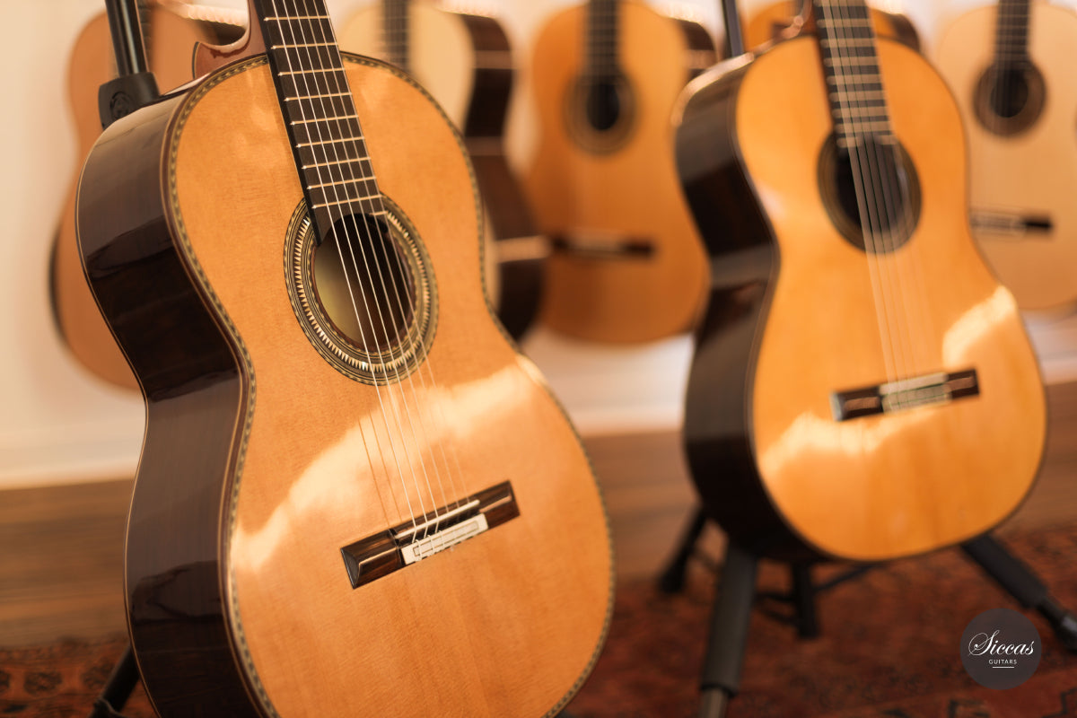 The world's finest guitars in one place – Siccas Guitars