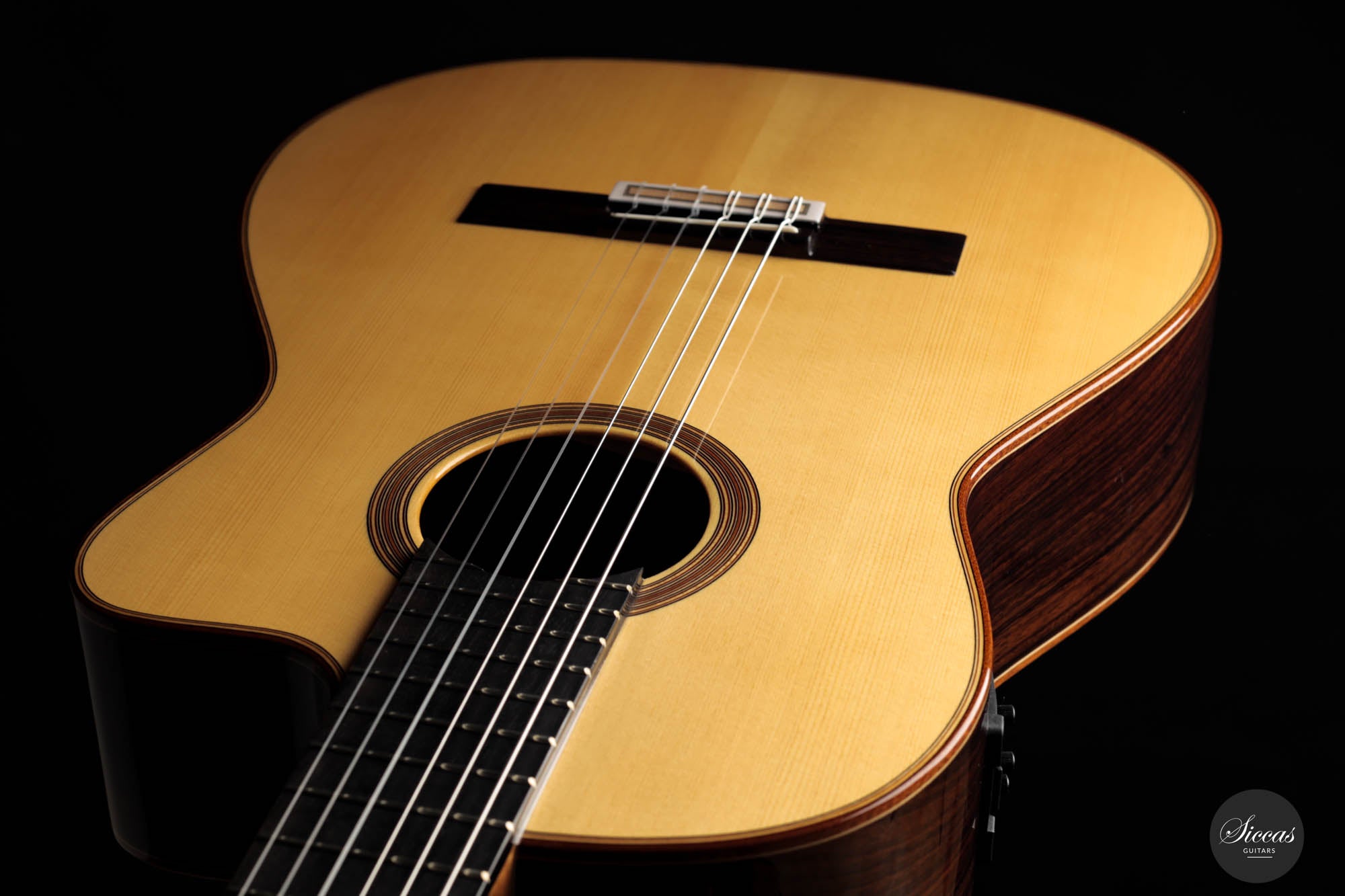 Daniel Stark - Performer II Spruce – Siccas Guitars