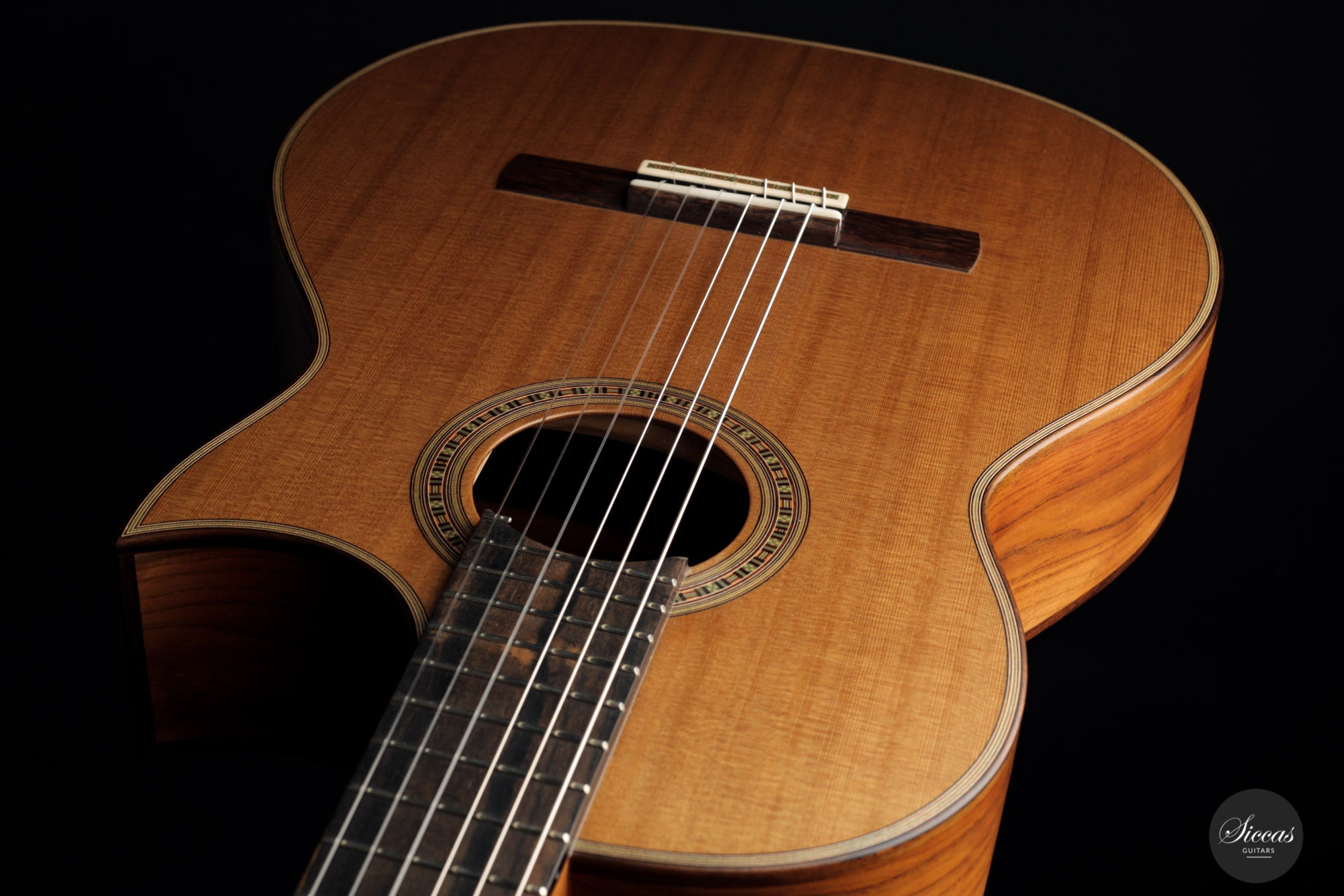 Daniel Stark - 2021 Performer – Siccas Guitars
