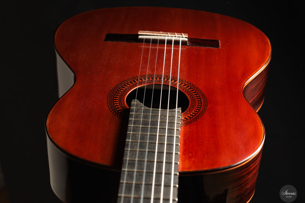 The Timeless Elegance of Asturias (Leyenda) by Isaac Albéniz – Siccas ...