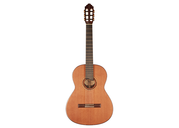 David Ryer - 2018 Doubletop 64cm – Siccas Guitars