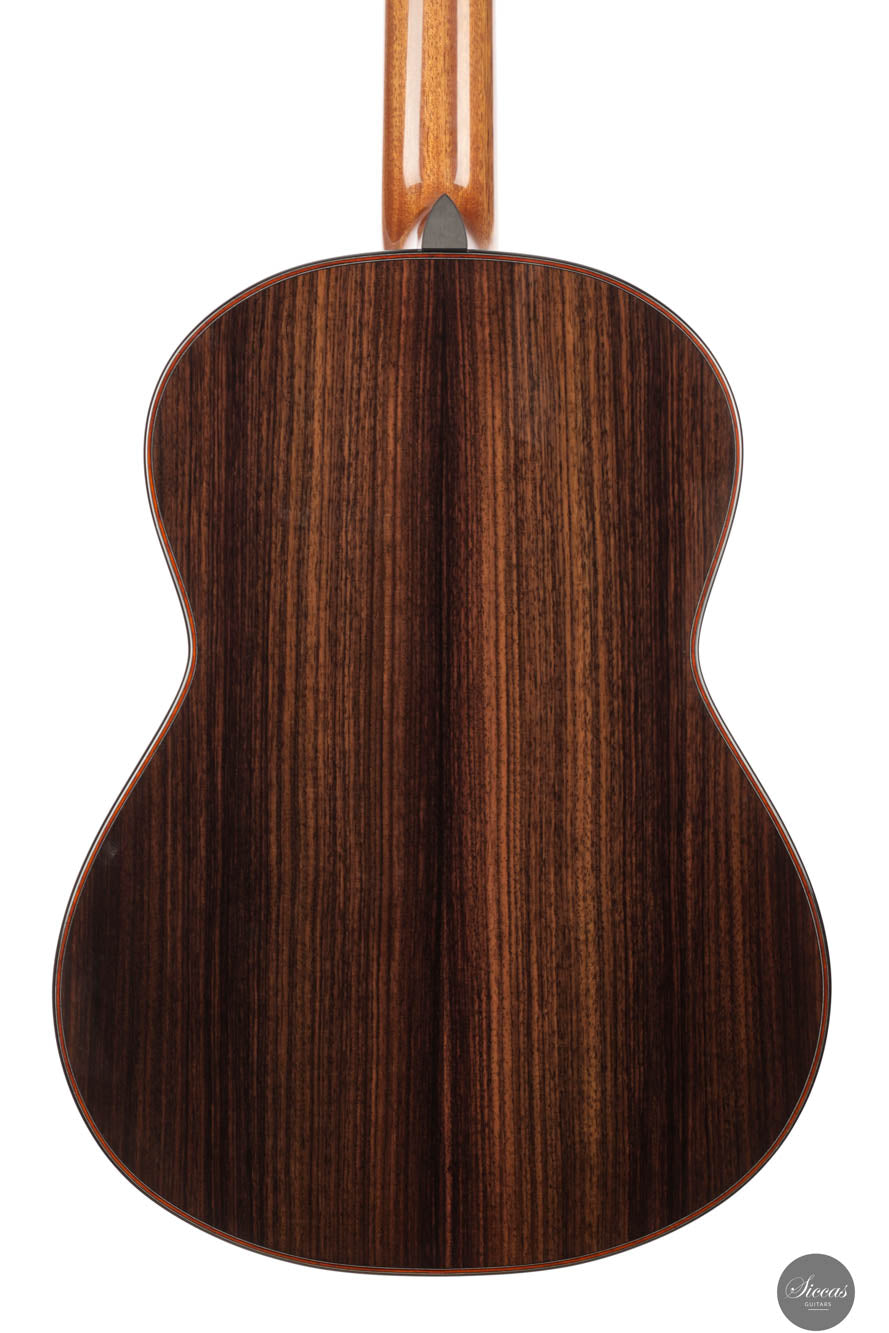 Dennis Tolz - 2024 Doubletop – Siccas Guitars