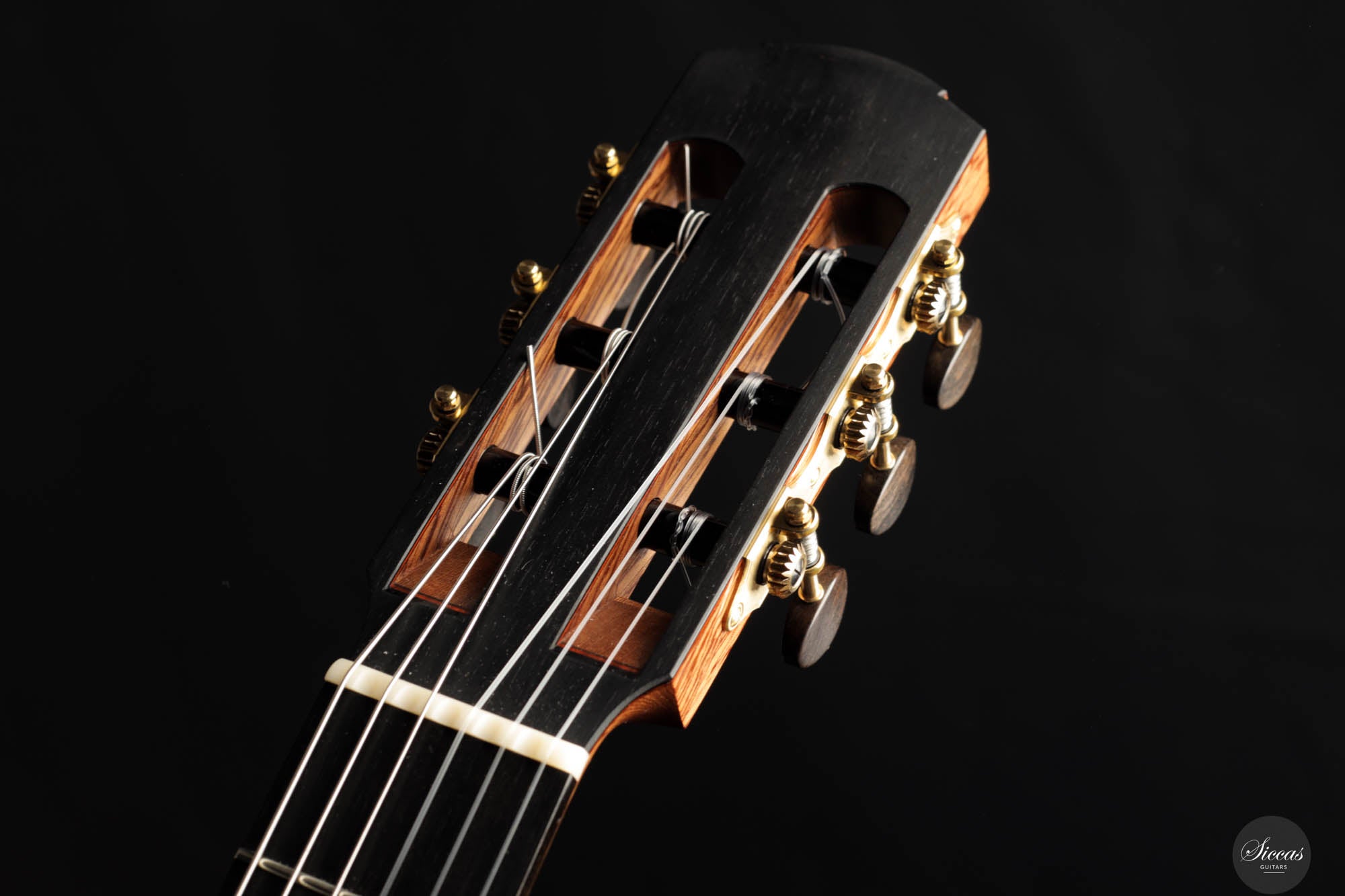 Dennis Tolz - 2024 Doubletop – Siccas Guitars