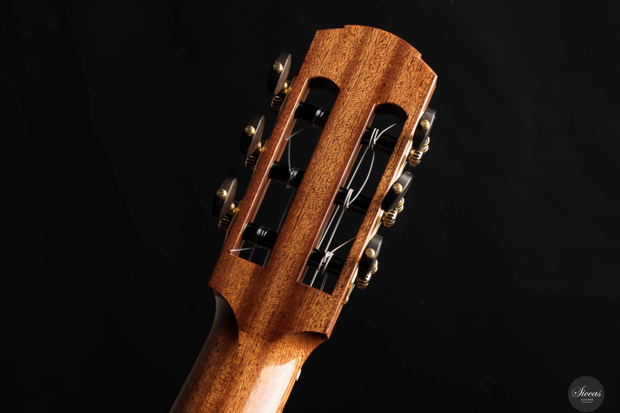 Dennis Tolz - 2024 Doubletop – Siccas Guitars